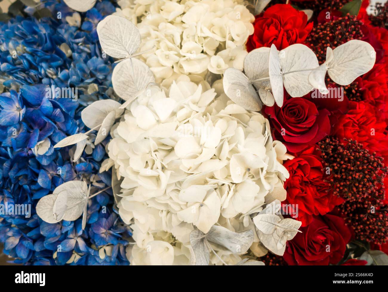 French flag made of blue, white and red flowers. French flag made of ...