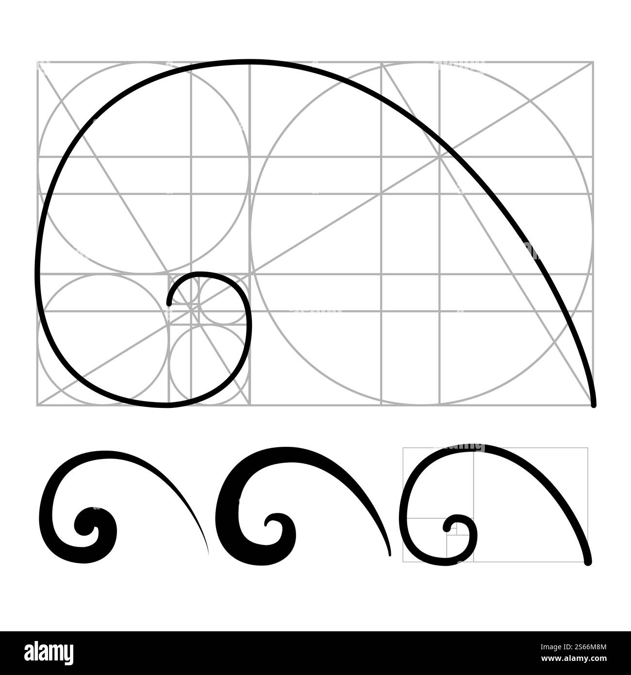 Nautilus Golden Ratio Geometric Spiral Set Vector. Collection Of ...
