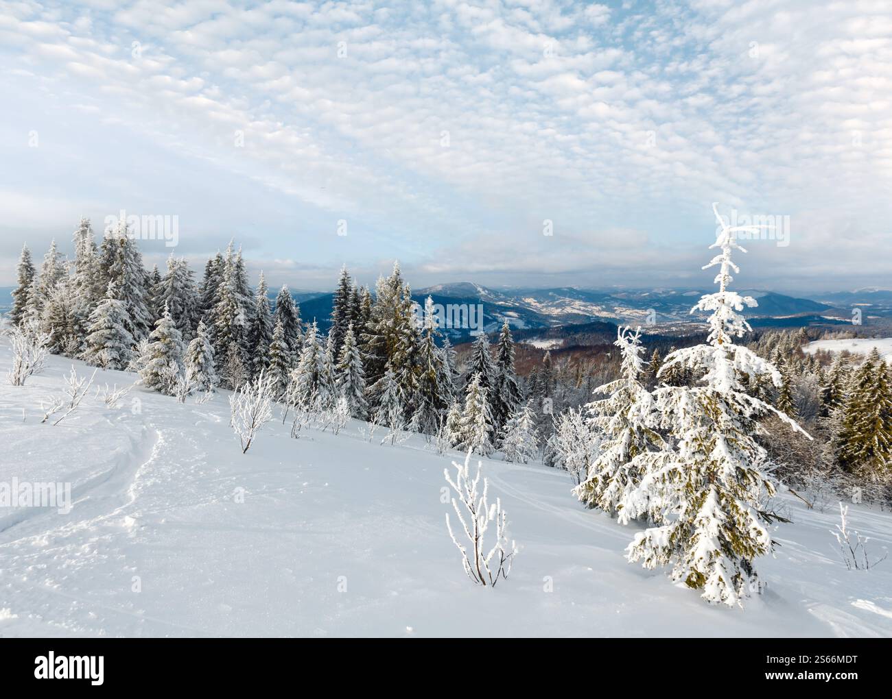 Winter calm mountain landscape with beautiful frosting trees and ski ...
