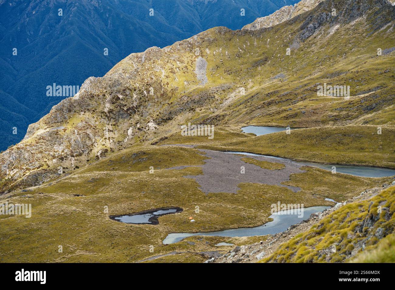 wild camping at the tarns viewed from the St. Arnaud Mountain Range ...
