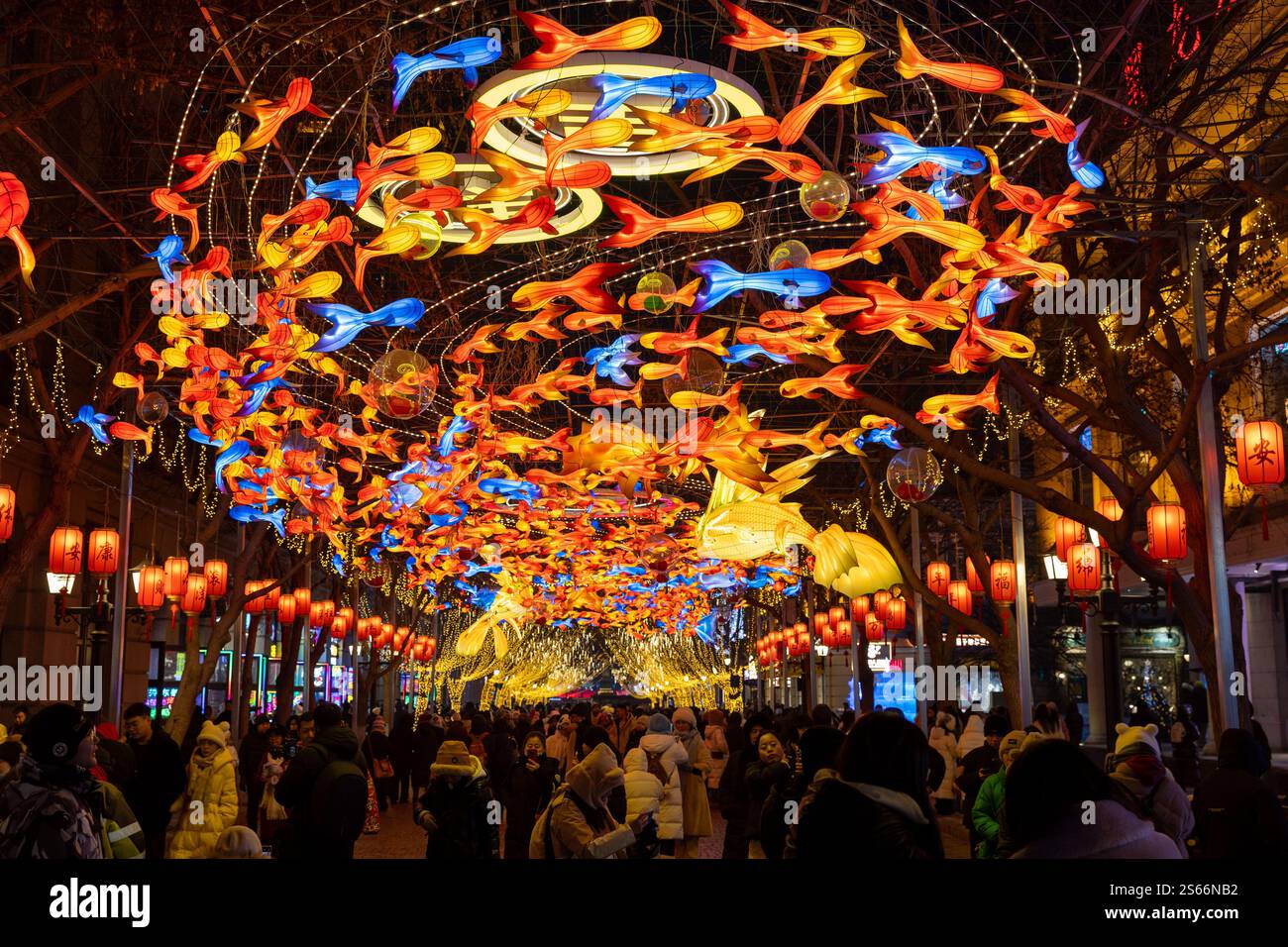 Harbin, China's Heilongjiang Province. 13th Jan, 2025. Tourists have ...