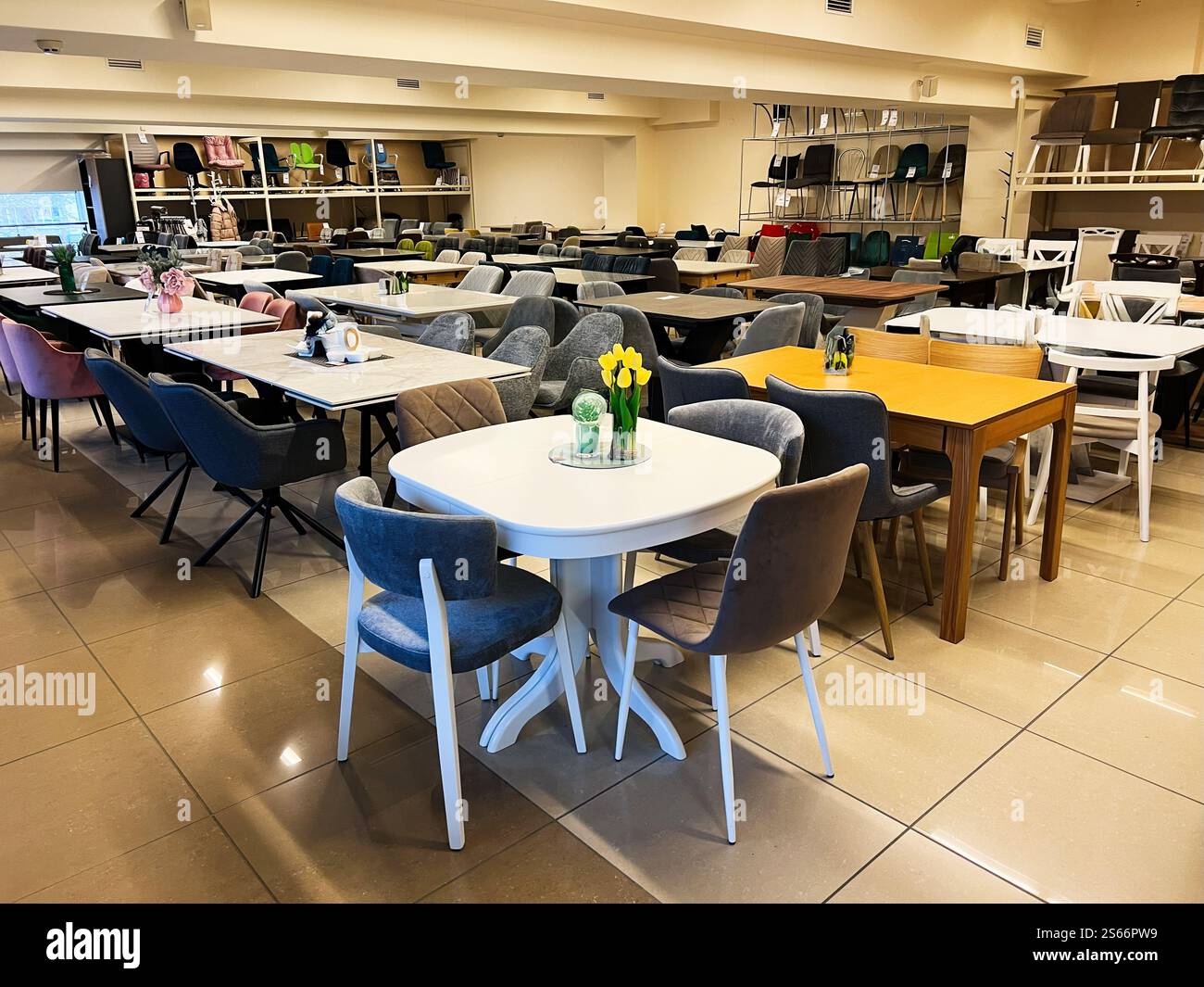 A furniture showroom featuring diverse dining table and chair styles ...