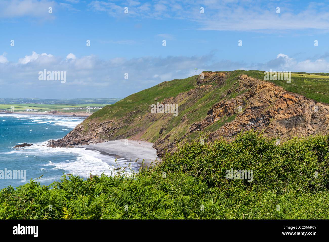 The cliffs and beach in Millook Haven, Cornwall, England, UK Stock ...