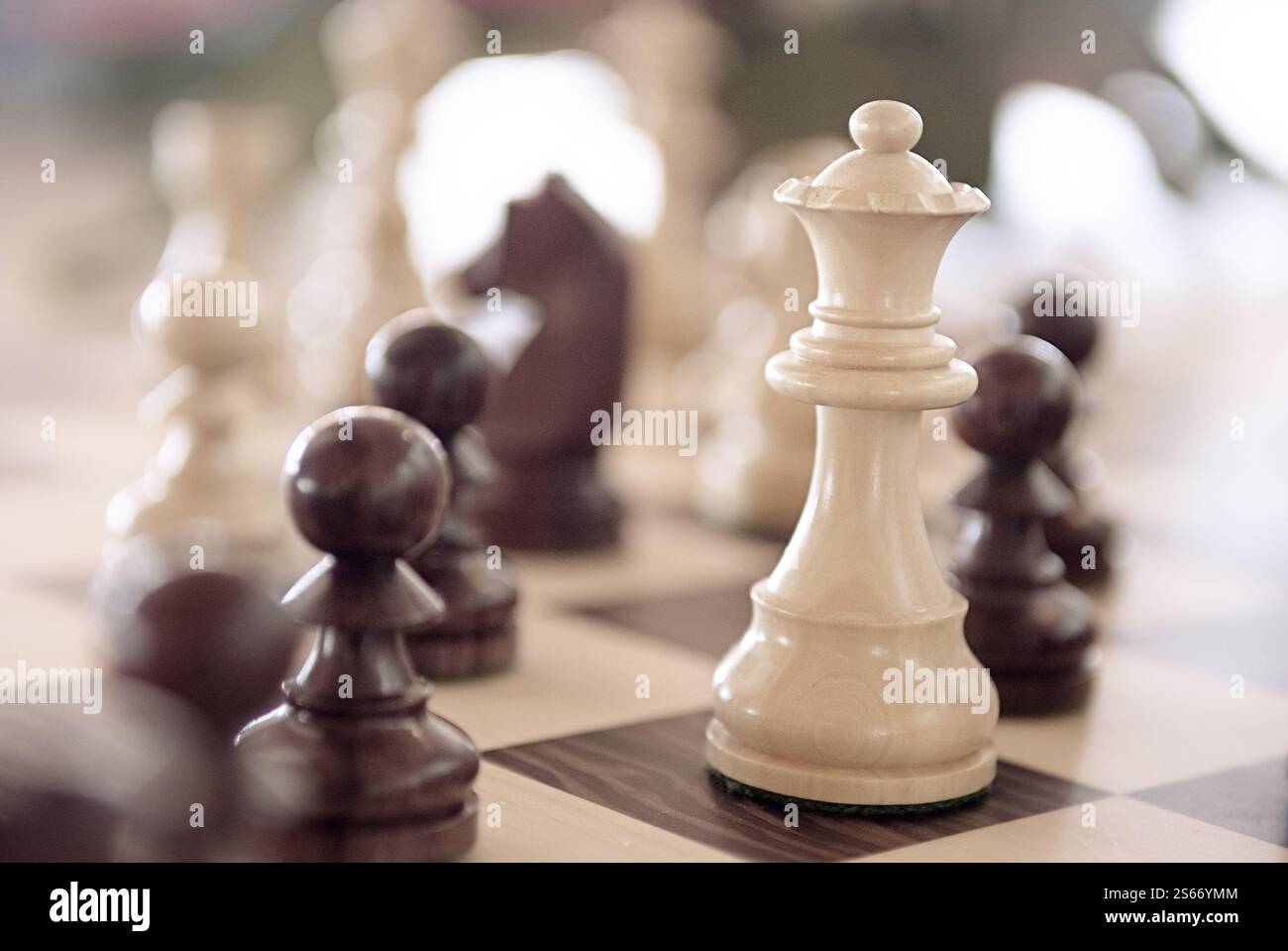 Closeup chess queen piece hi-res stock photography and images - Alamy