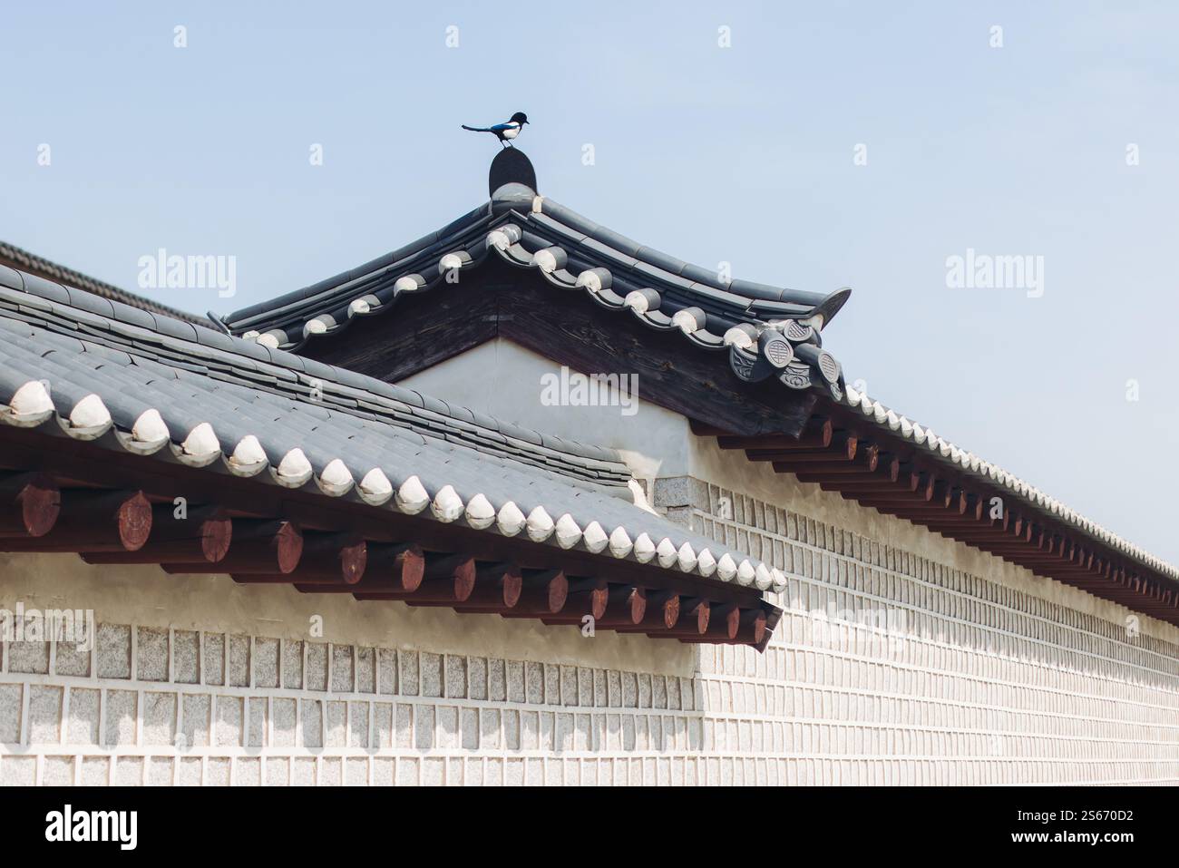 Gyeongbokgung Palace, Seoul, Jongno District, South Korea, in a spring ...