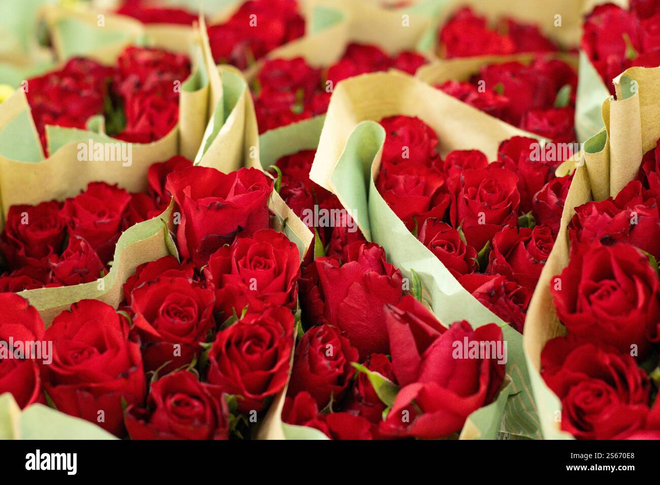 Small red roses bouquets in the flower shop Stock Photo - Alamy