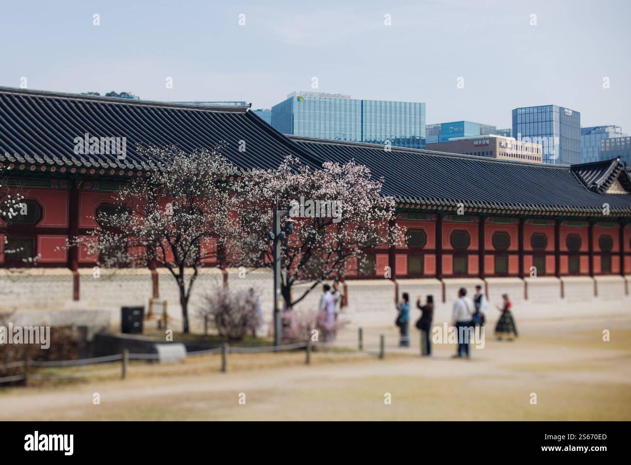 Gyeongbokgung Palace, Seoul, Jongno District, South Korea, in a spring ...