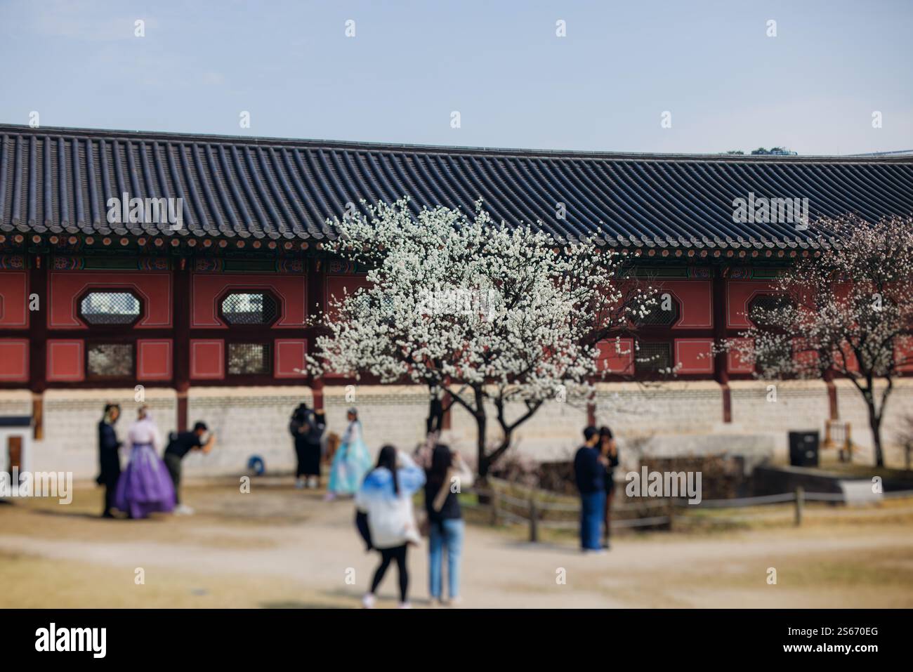 Gyeongbokgung Palace, Seoul, Jongno District, South Korea, in a spring ...