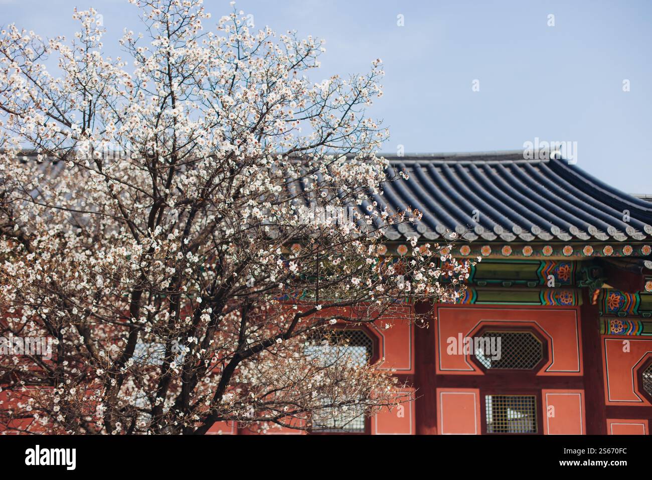 Gyeongbokgung Palace, Seoul, Jongno District, South Korea, in a spring ...