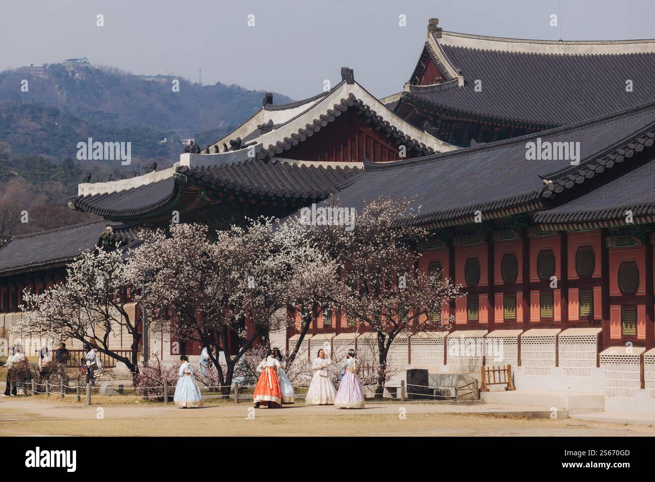 Gyeongbokgung Palace, Seoul, Jongno District, South Korea, in a spring ...