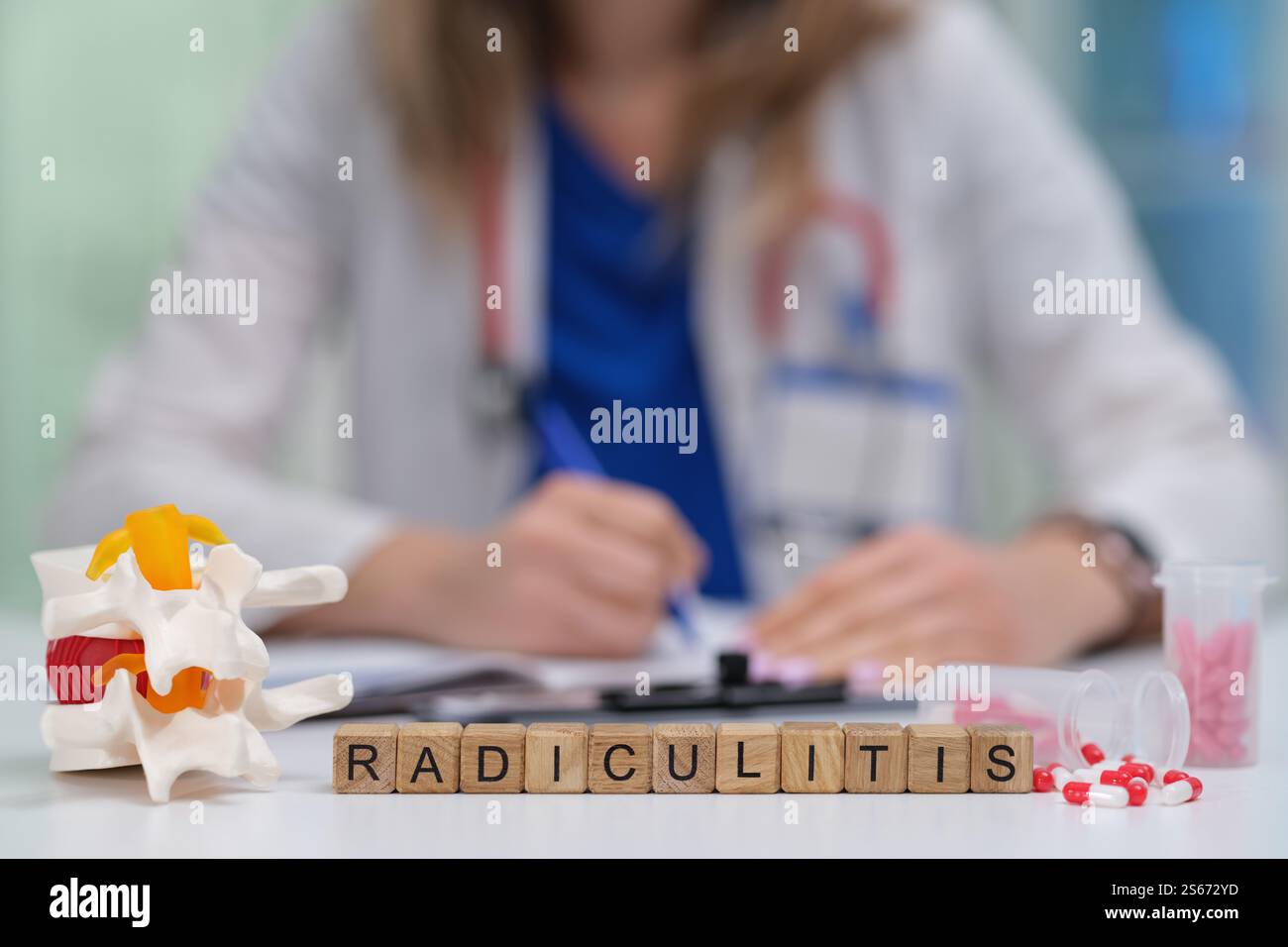 A Doctor is Examining Radiculitis Using a Detailed Spinal Model for ...