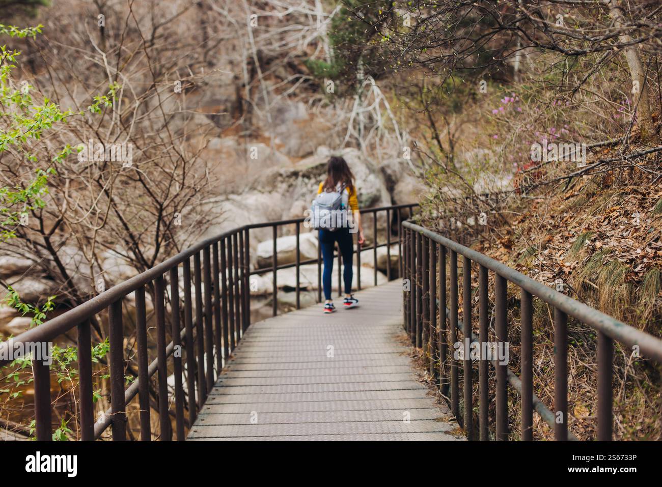 Bukhansan National Park, Seoul, Gyeonggi-do, South Korea, spring ...