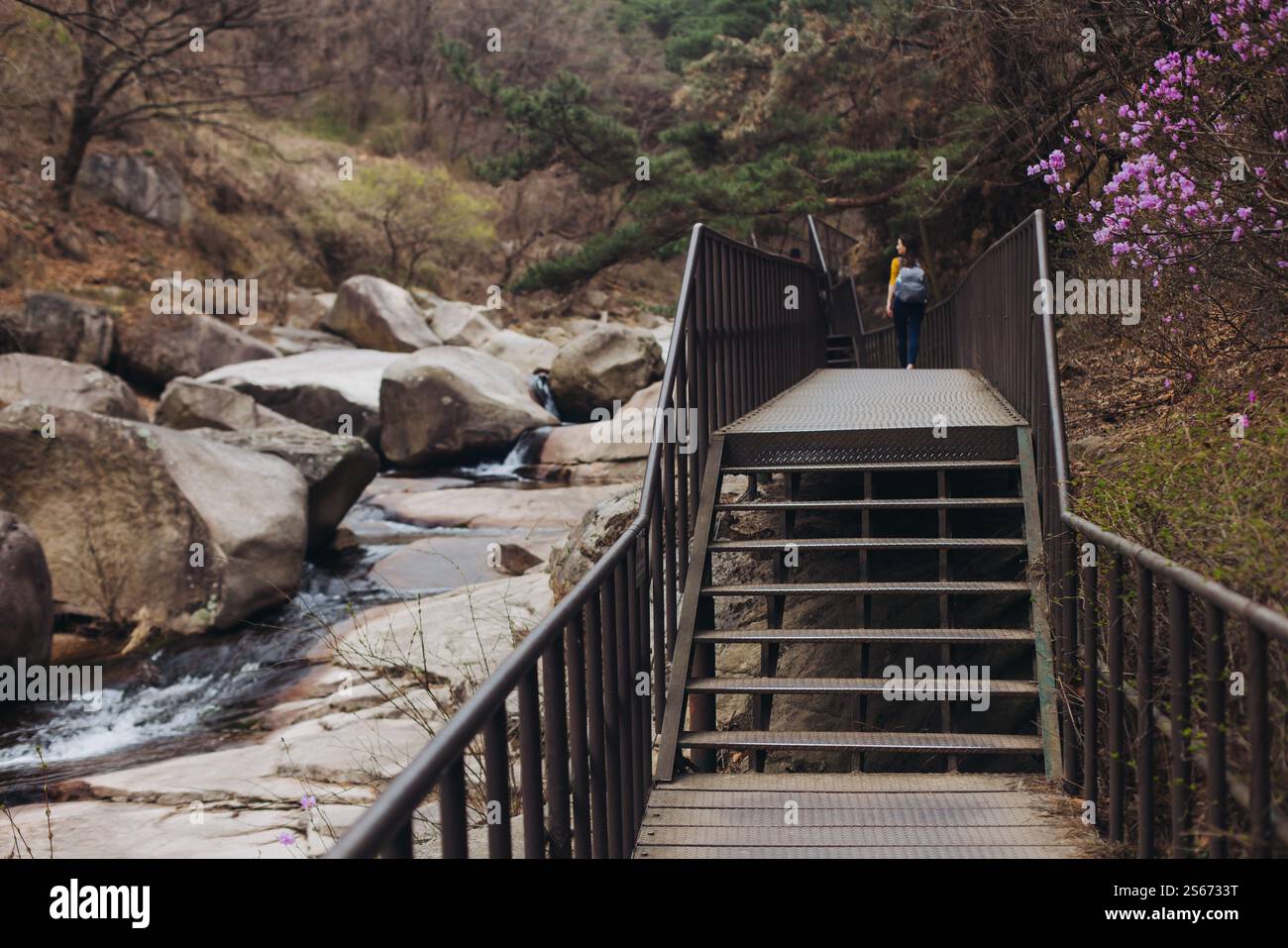 Bukhansan National Park, Seoul, Gyeonggi-do, South Korea, spring ...