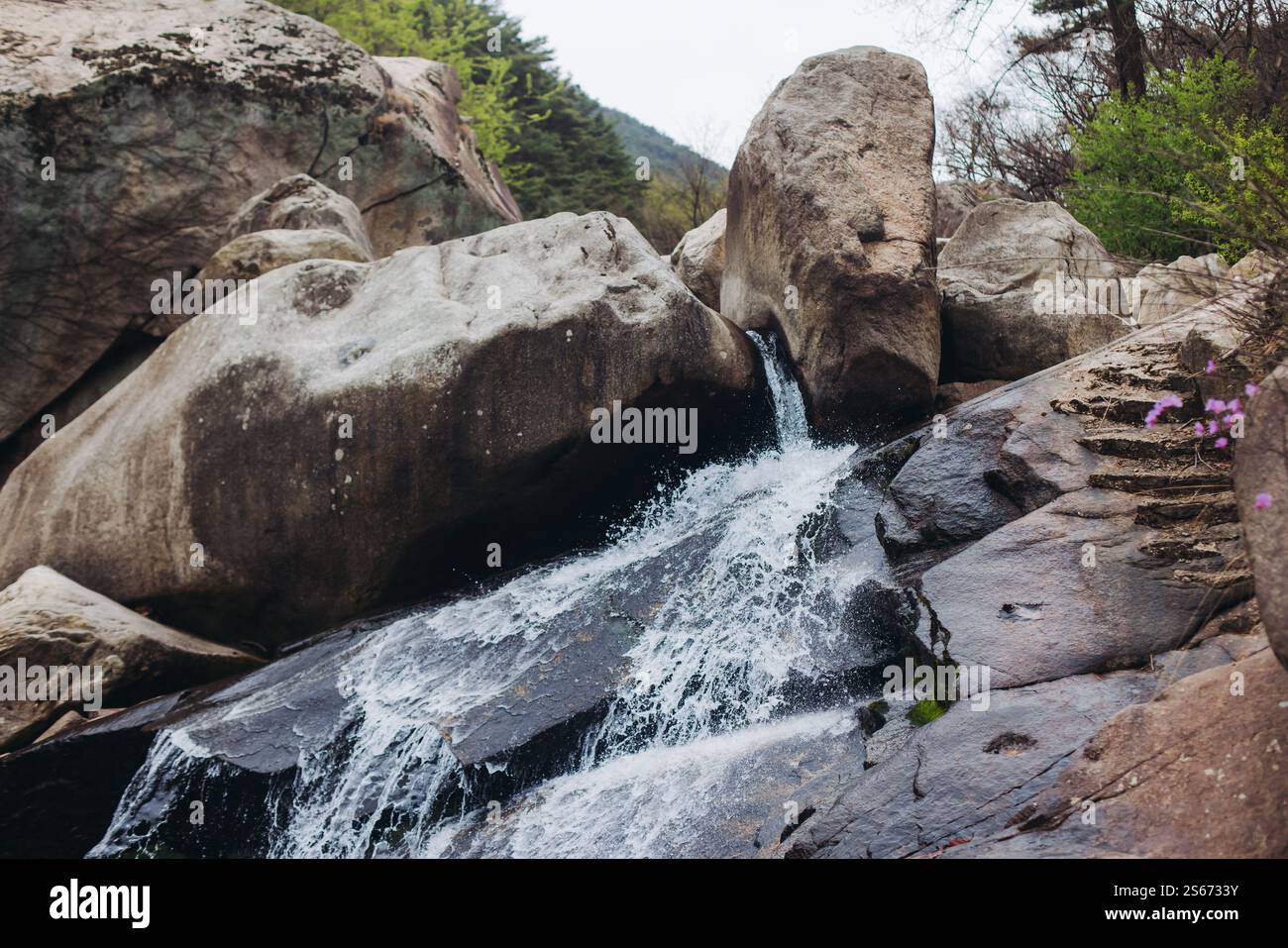 Bukhansan National Park, Seoul, Gyeonggi-do, South Korea, spring ...