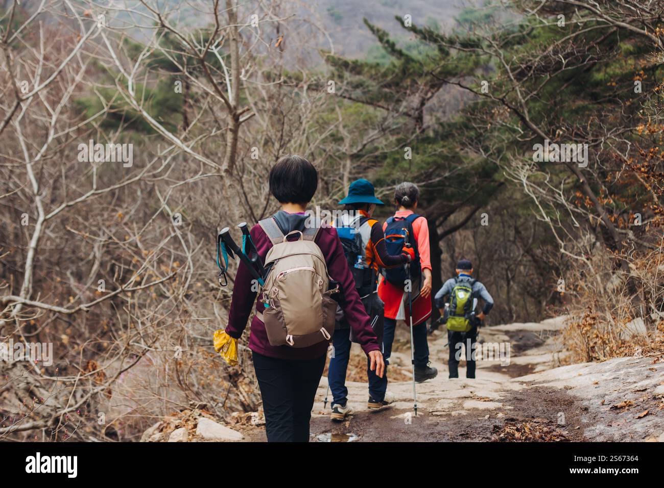 Bukhansan National Park, Seoul, Gyeonggi-do, South Korea, spring ...