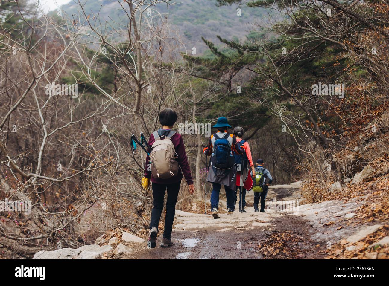 Bukhansan National Park, Seoul, Gyeonggi-do, South Korea, spring ...