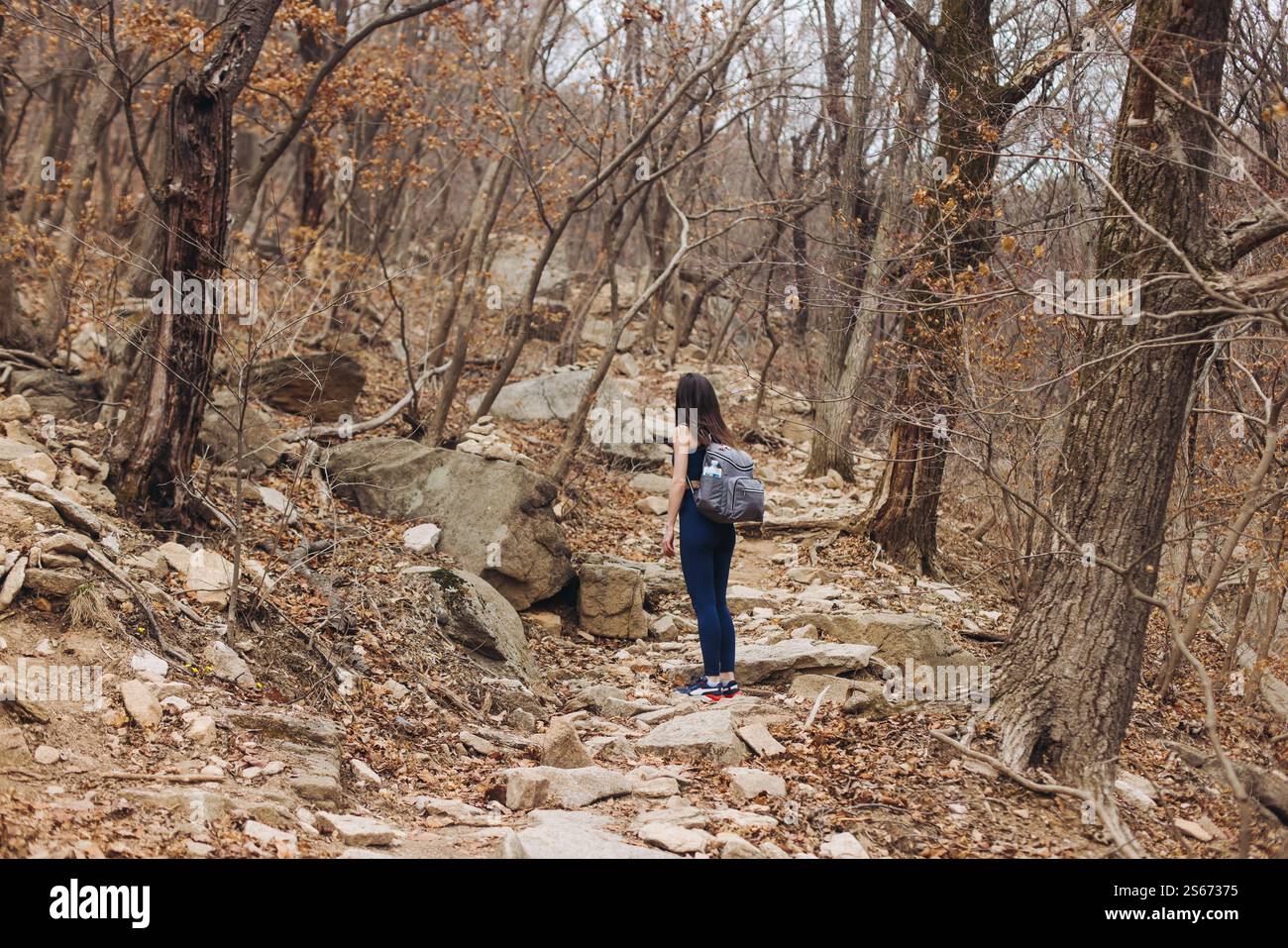 Bukhansan National Park, Seoul, Gyeonggi-do, South Korea, spring ...