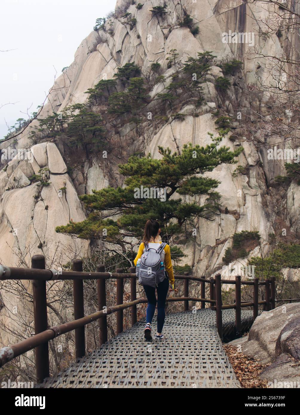 Bukhansan National Park, Seoul, Gyeonggi-do, South Korea, spring ...
