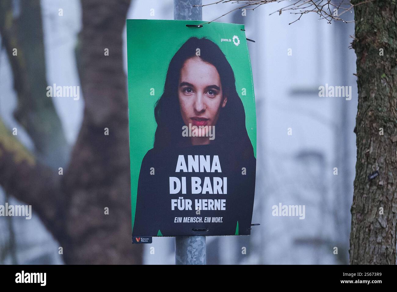 Wahlplakate - Bundestagswahl 2025 am 15.01.2025 in Herne Ein Wahlplakat von Bündnis 90/Die ...