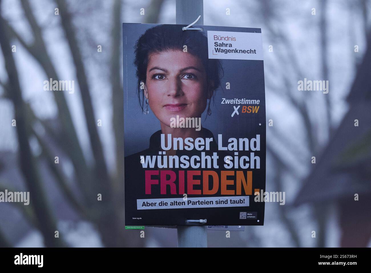 Wahlplakate - Bundestagswahl 2025 am 15.01.2025 in Herne Ein Wahlplakat des BSW Bündnis Sahra ...