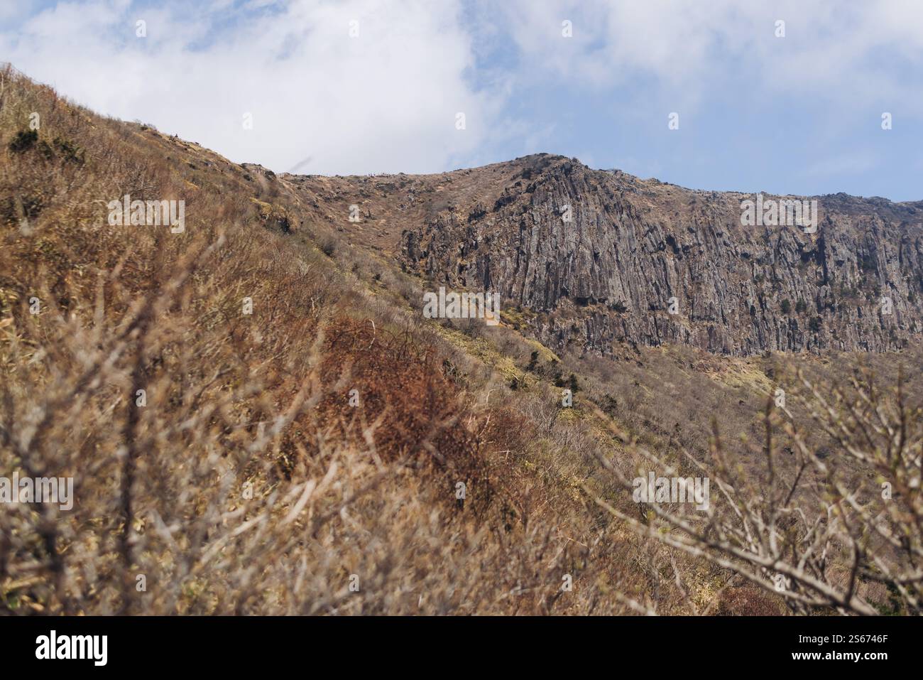 Hallasan National Park, Jeju island, South Korea, spring landscape view ...