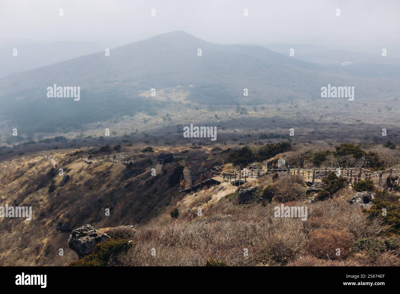 Hallasan National Park, Jeju island, South Korea, spring landscape view ...