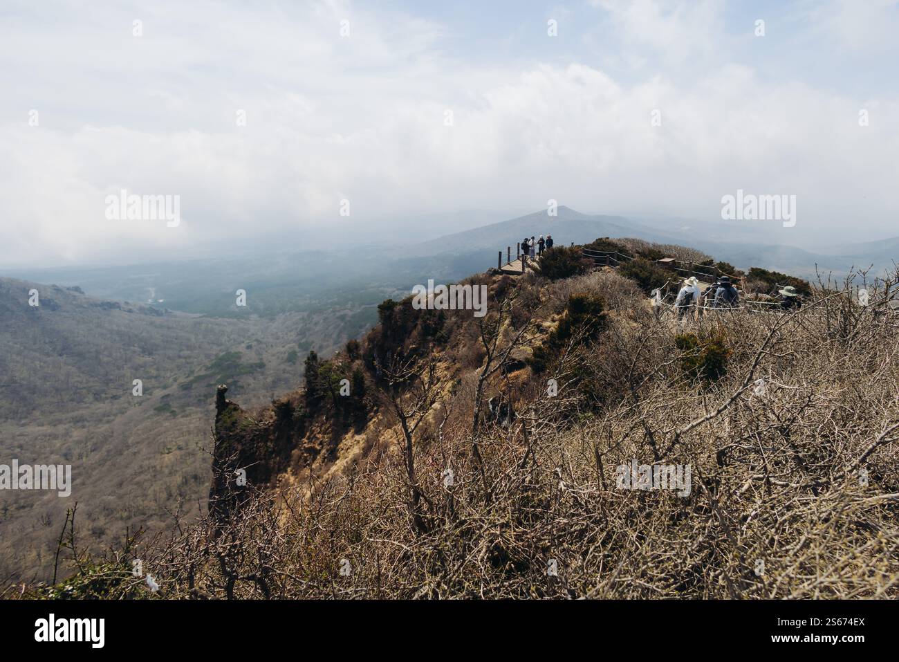 Hallasan National Park, Jeju island, South Korea, spring landscape view ...