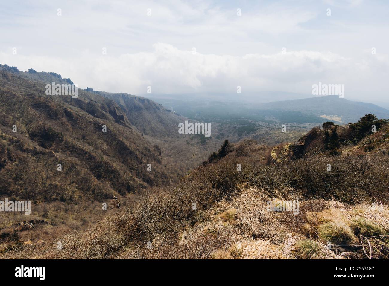 Hallasan National Park, Jeju island, South Korea, spring landscape view ...