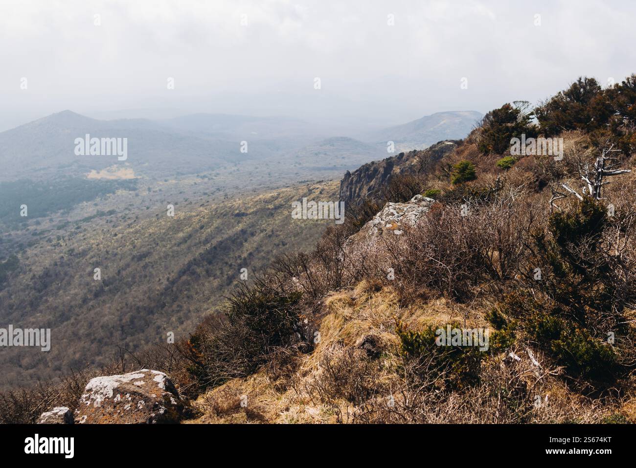 Hallasan National Park, Jeju island, South Korea, spring landscape view ...