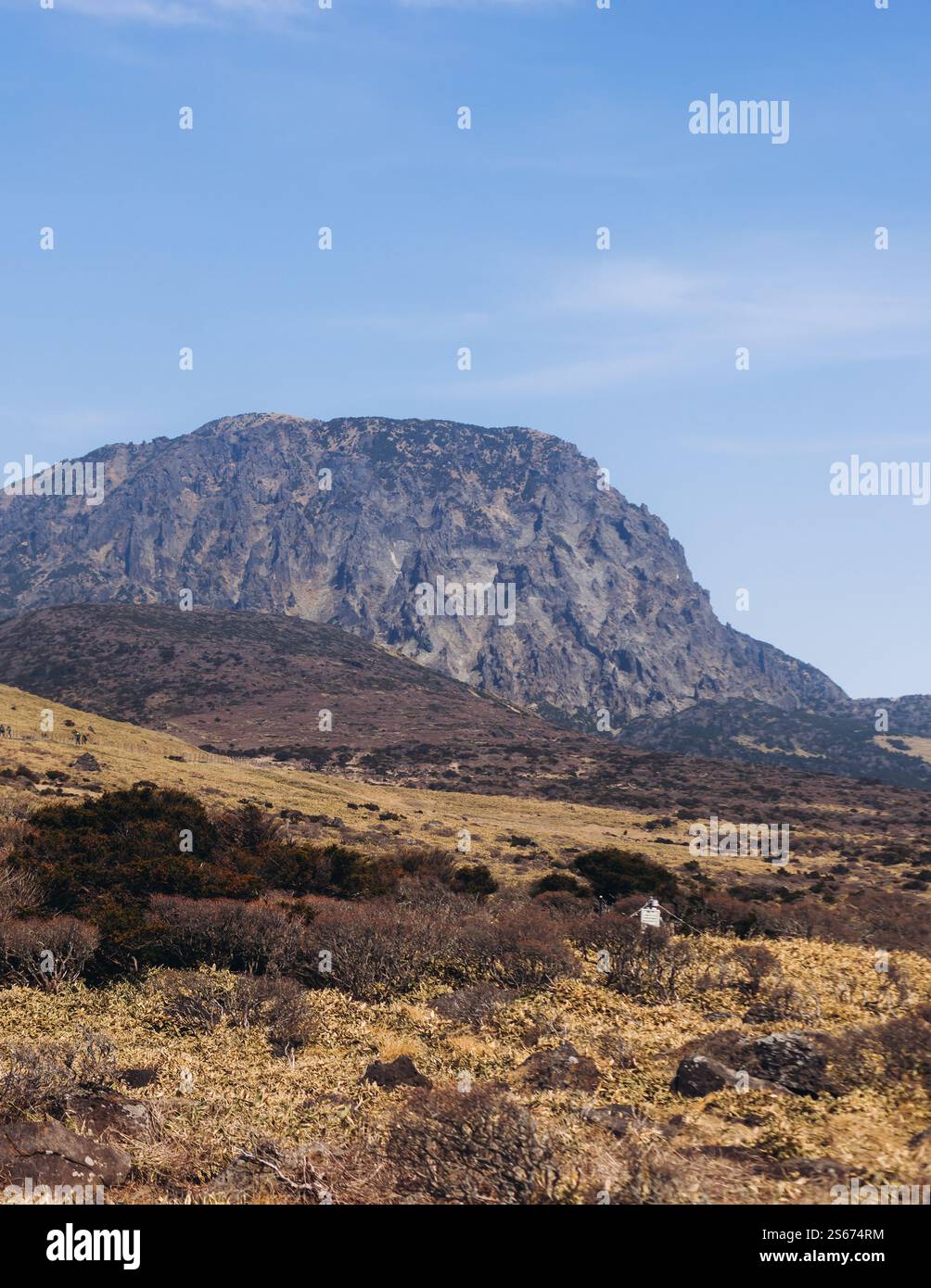 Hallasan National Park, Jeju island, South Korea, spring landscape view ...
