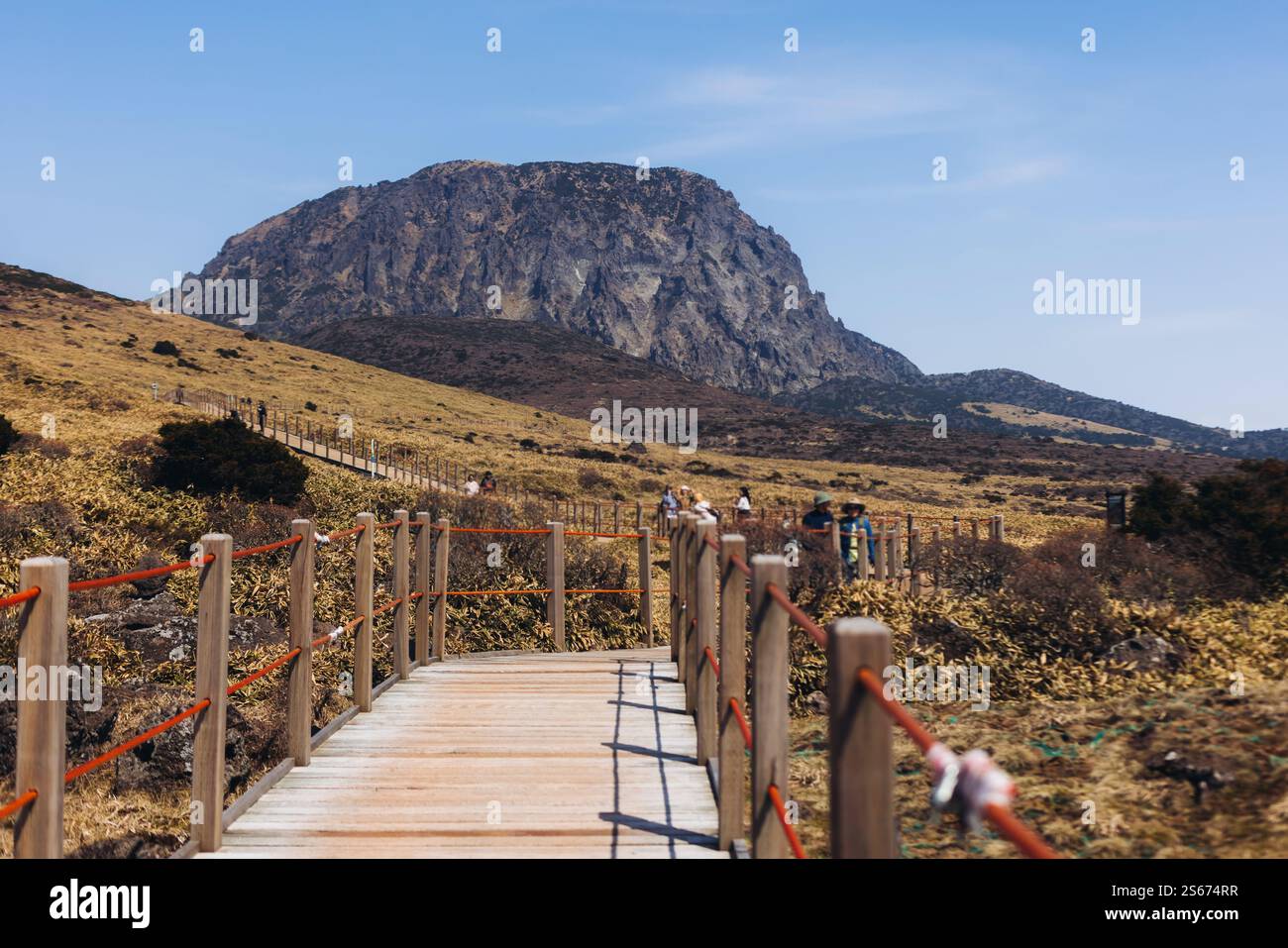 Hallasan National Park, Jeju island, South Korea, spring landscape view ...