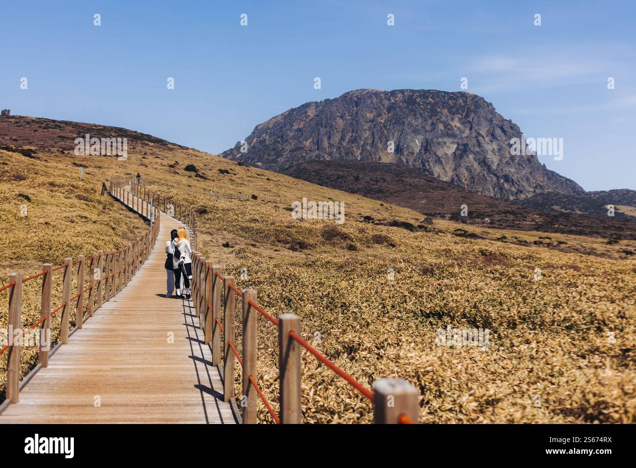 Hallasan National Park, Jeju island, South Korea, spring landscape view ...