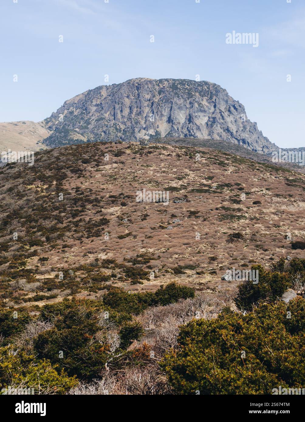 Hallasan National Park, Jeju island, South Korea, spring landscape view ...