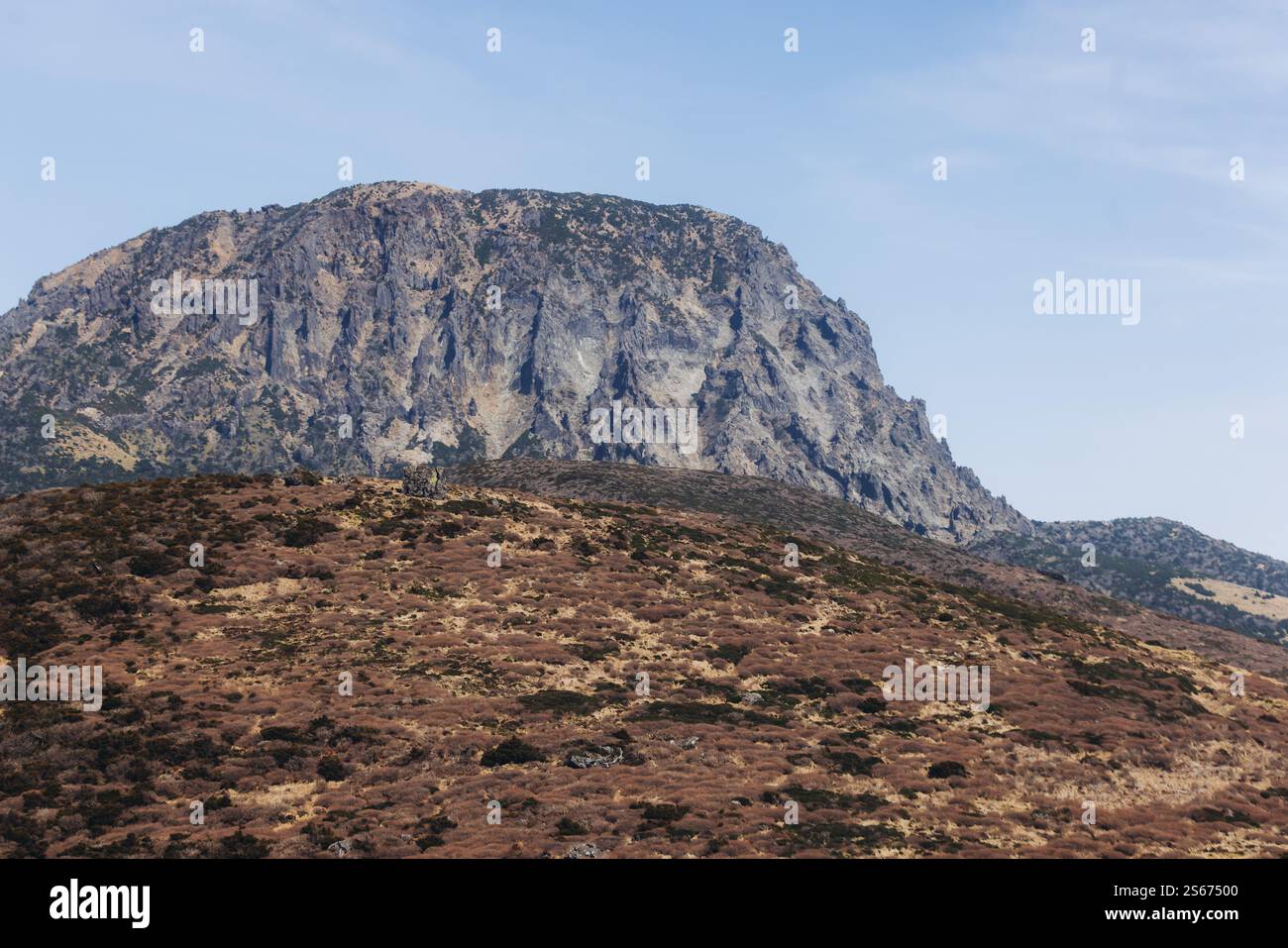 Hallasan National Park, Jeju island, South Korea, spring landscape view ...
