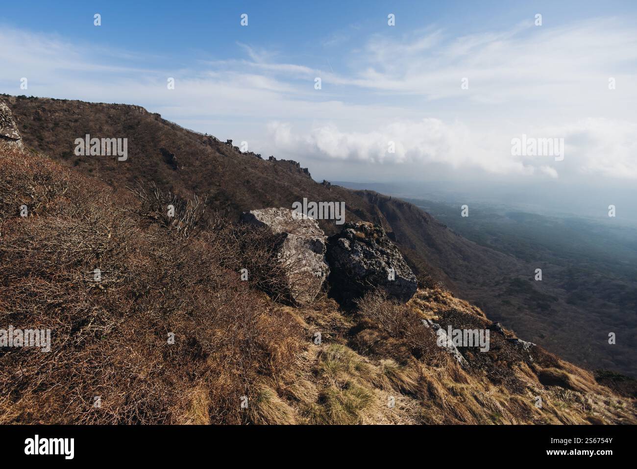 Hallasan National Park, Jeju island, South Korea, spring landscape view ...
