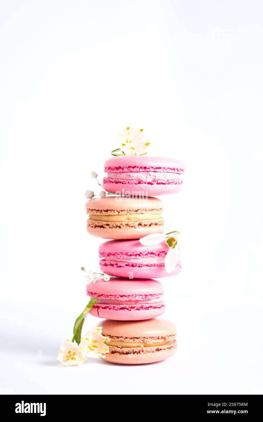 Pink and beige macaroons and spring flowers on white background, photo ...