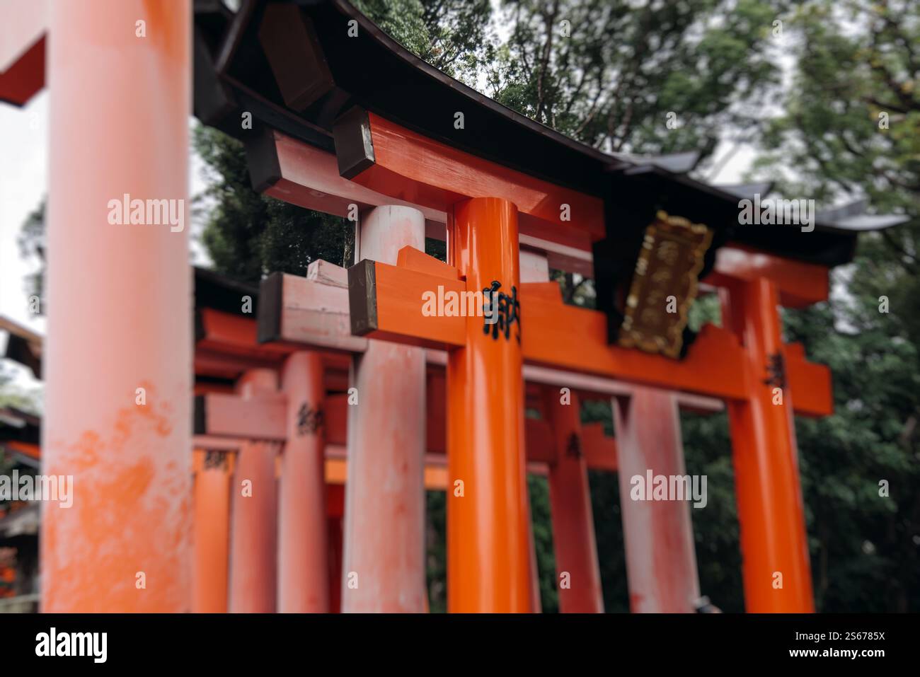 Fushimi Inari Taisha Shrine, Fushimi-ku, Kyoto Prefecture, Kansai ...