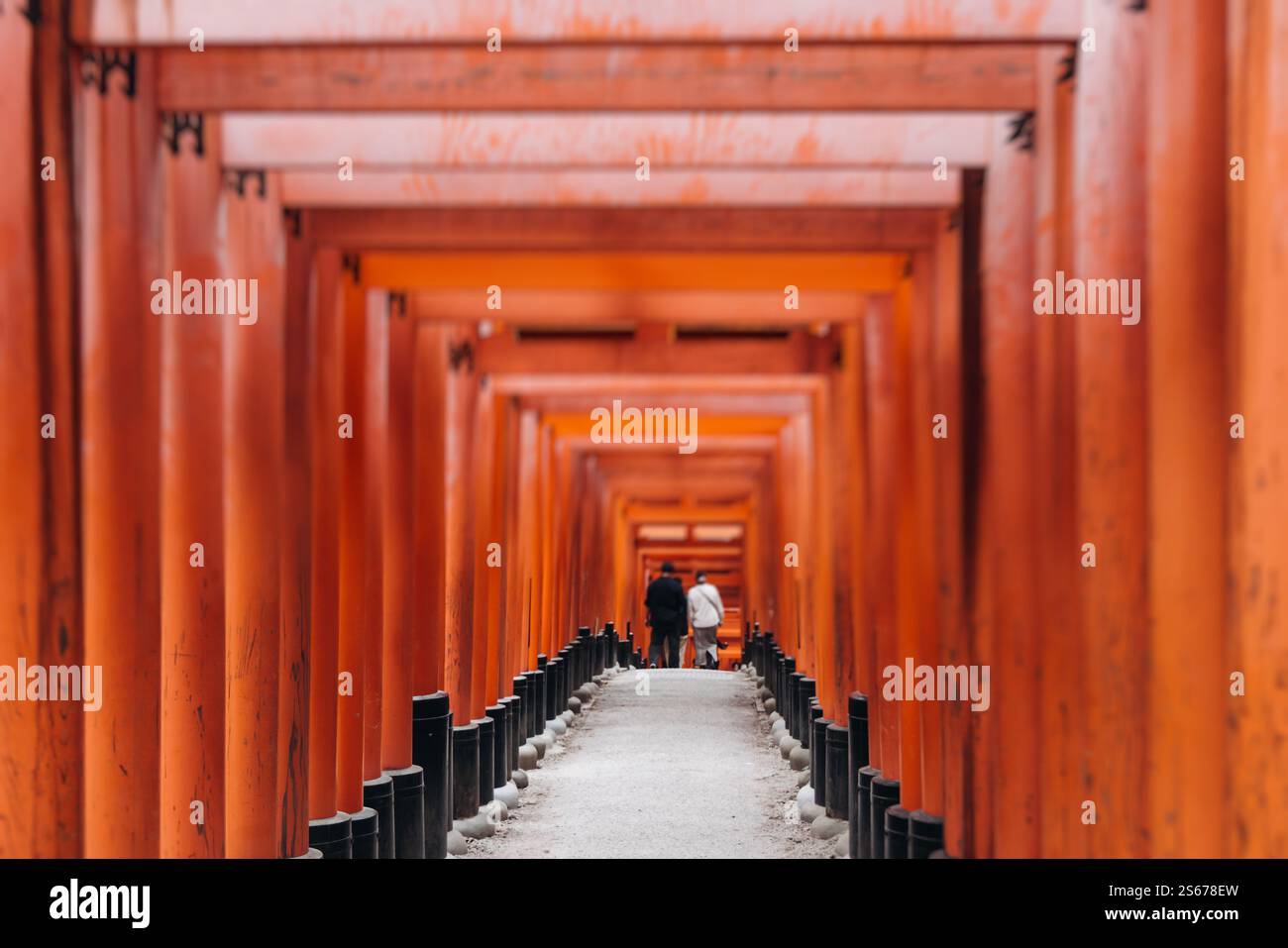 Fushimi Inari Taisha Shrine, Fushimi-ku, Kyoto Prefecture, Kansai ...