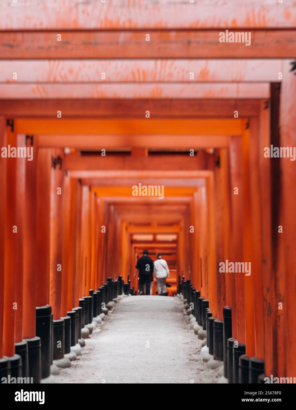 Fushimi Inari Taisha Shrine, Fushimi-ku, Kyoto Prefecture, Kansai ...