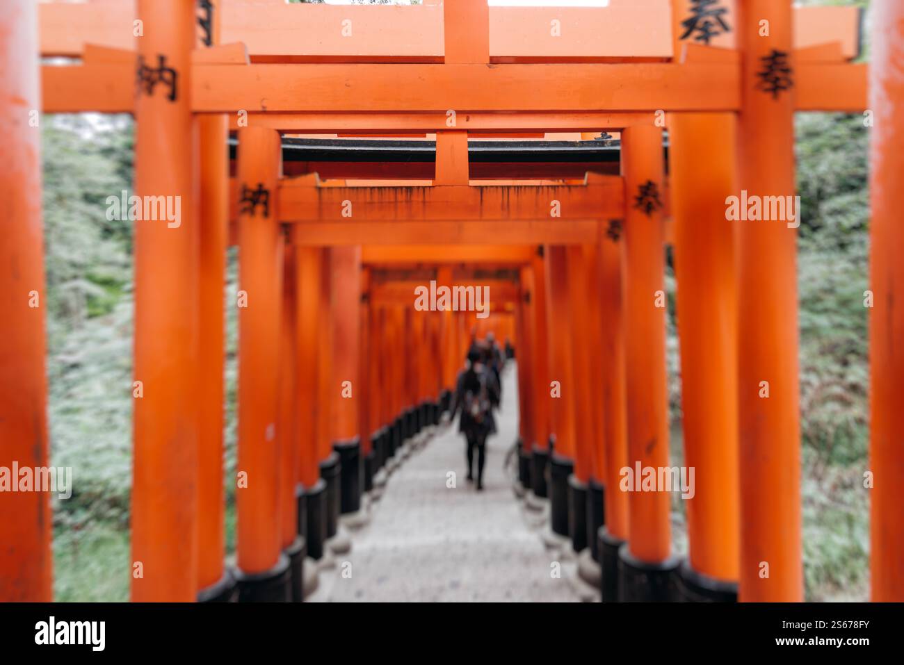 Fushimi Inari Taisha Shrine, Fushimi-ku, Kyoto Prefecture, Kansai ...