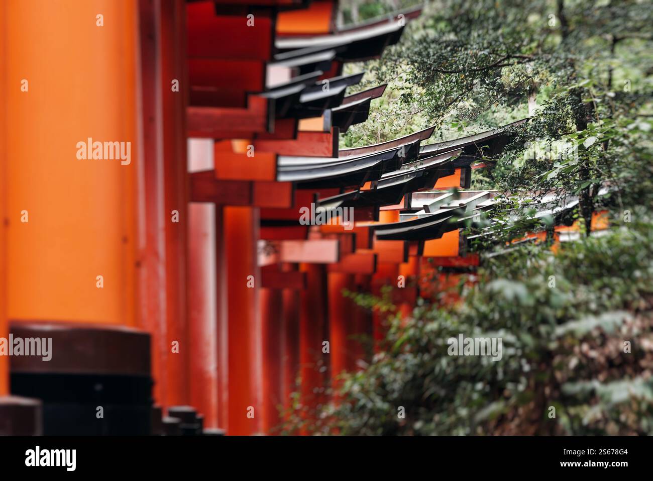 Fushimi Inari Taisha Shrine, Fushimi-ku, Kyoto Prefecture, Kansai ...