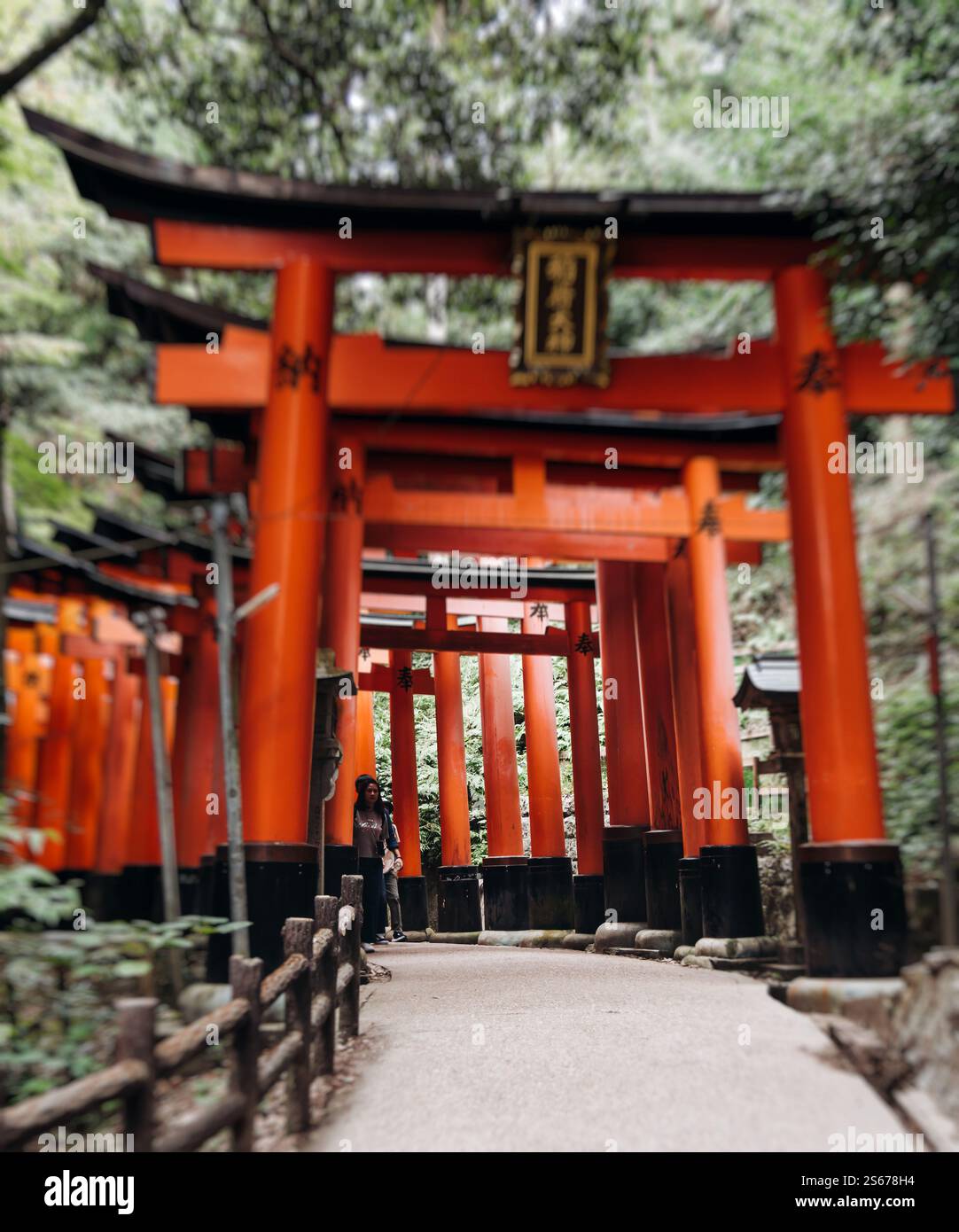 Fushimi Inari Taisha Shrine, Fushimi-ku, Kyoto Prefecture, Kansai ...