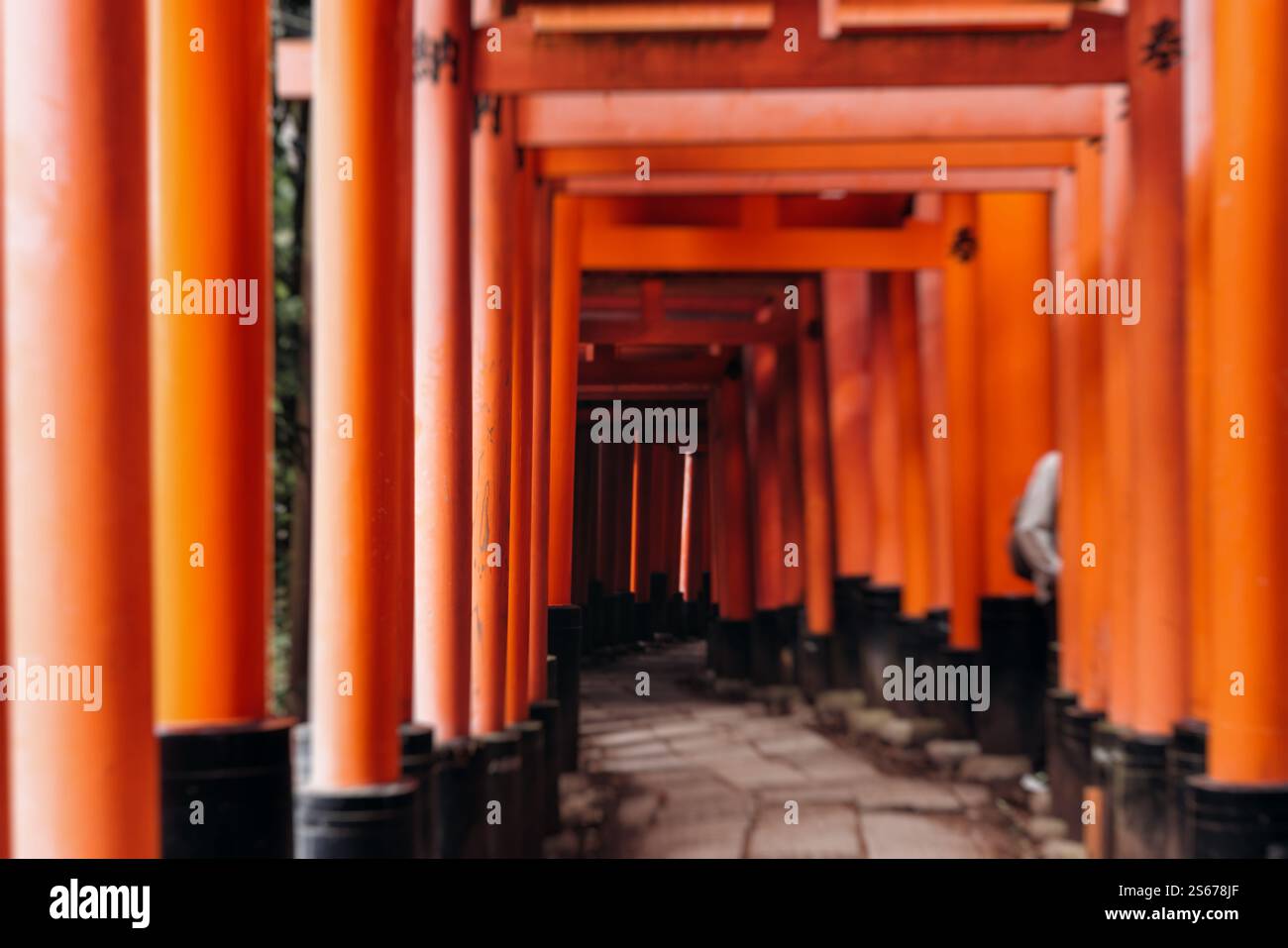 Fushimi Inari Taisha Shrine, Fushimi-ku, Kyoto Prefecture, Kansai ...