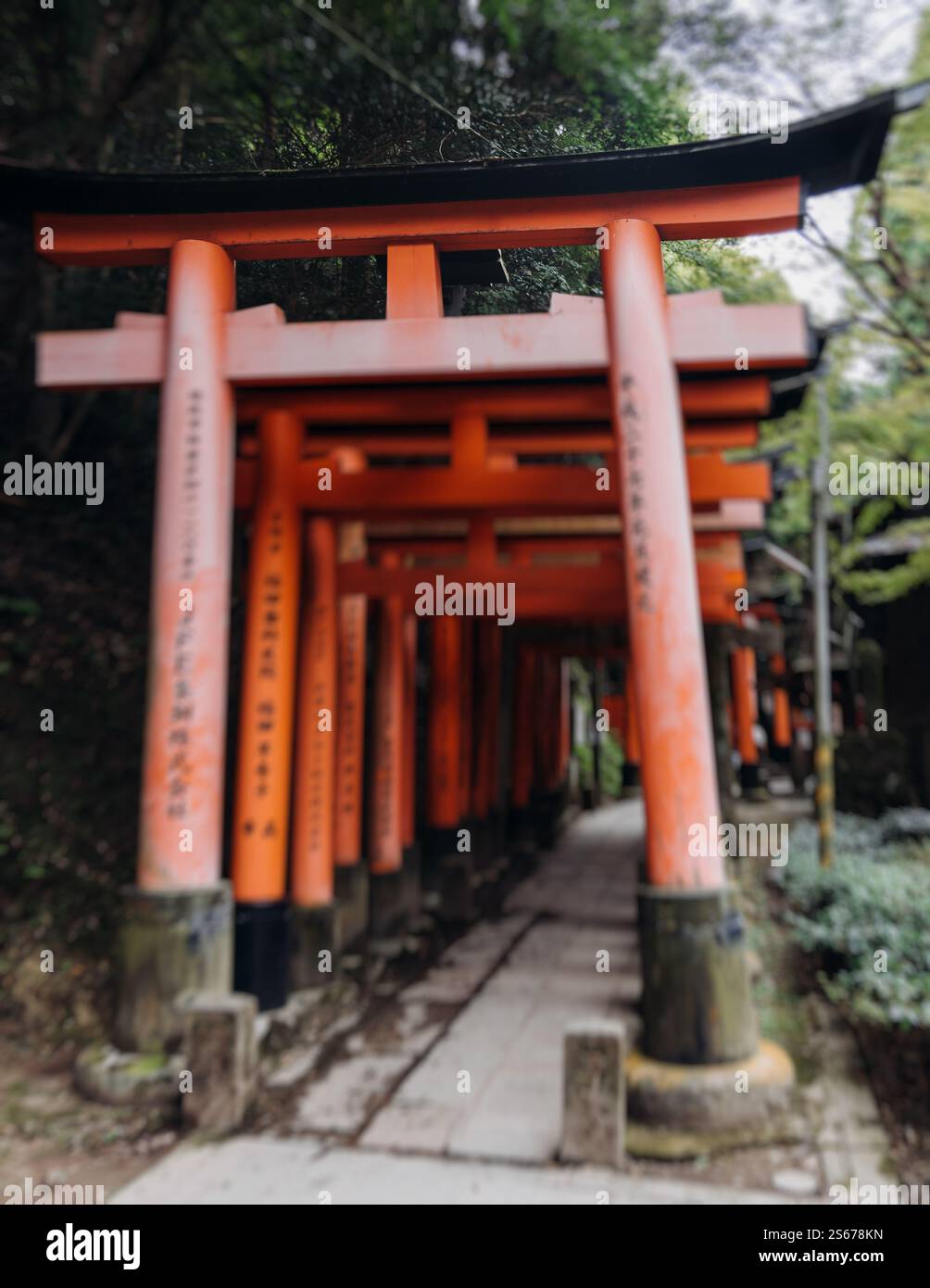 Fushimi Inari Taisha Shrine, Fushimi-ku, Kyoto Prefecture, Kansai ...