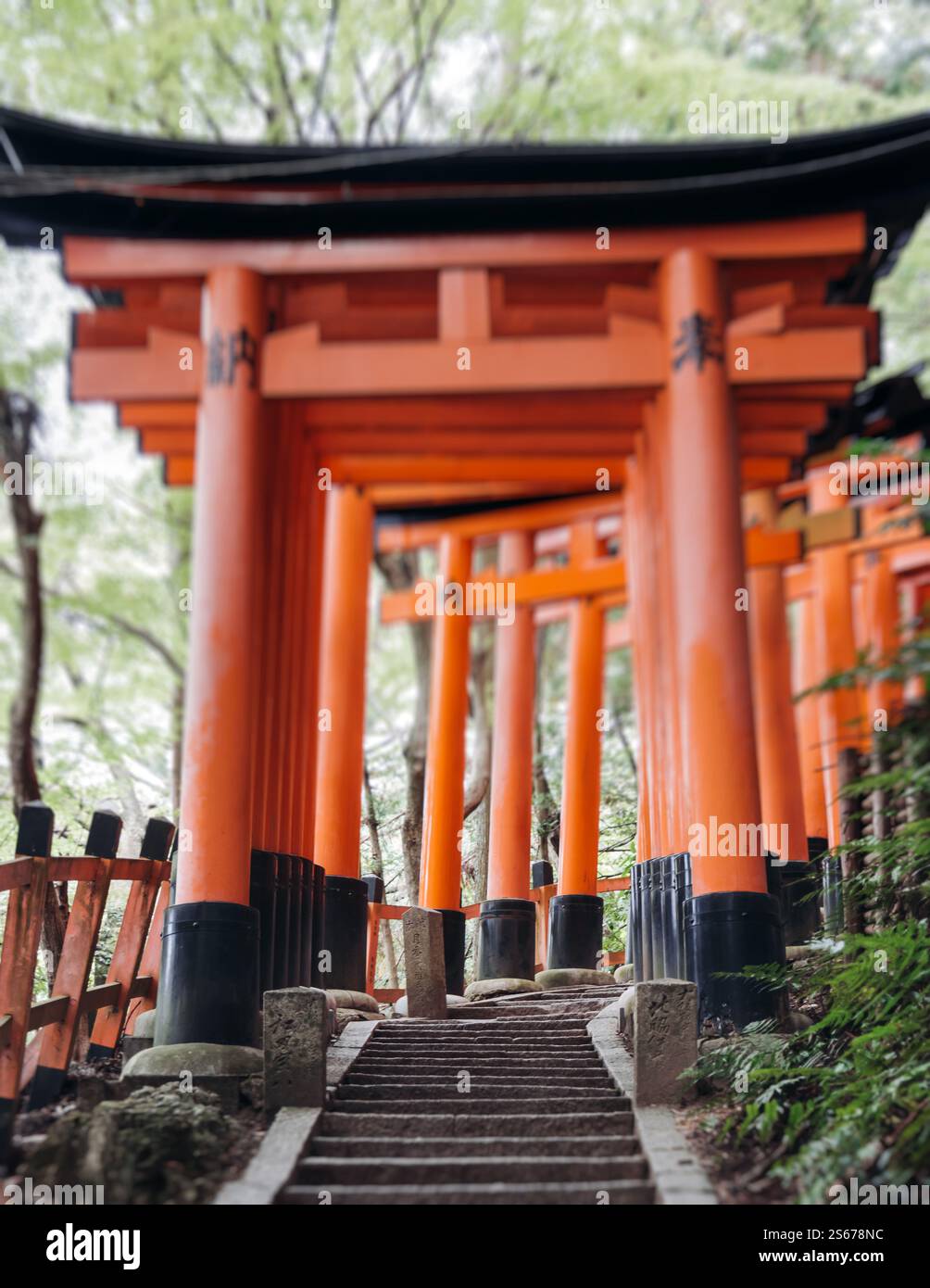 Fushimi Inari Taisha Shrine, Fushimi-ku, Kyoto Prefecture, Kansai ...