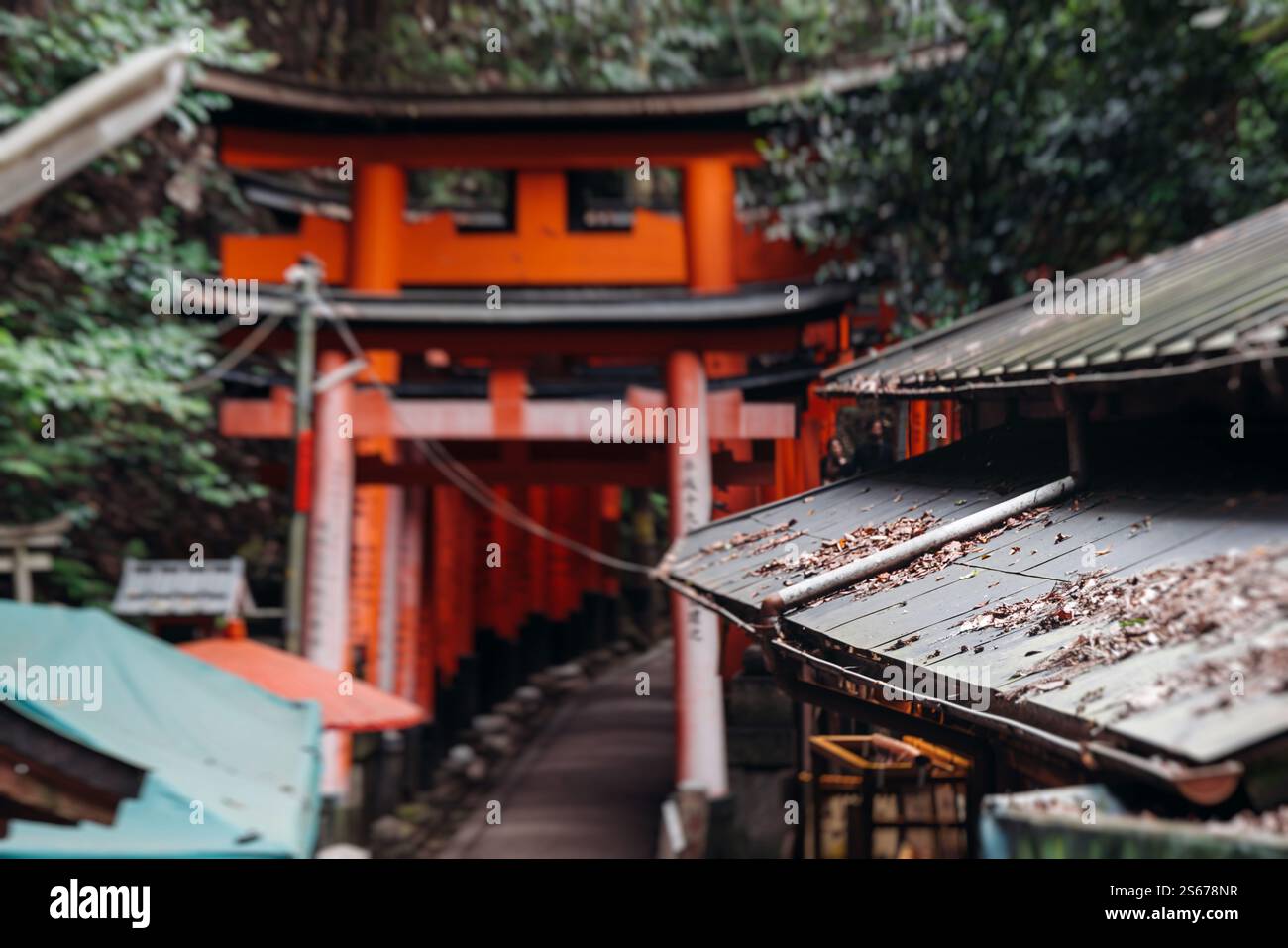 Fushimi Inari Taisha Shrine, Fushimi-ku, Kyoto Prefecture, Kansai ...