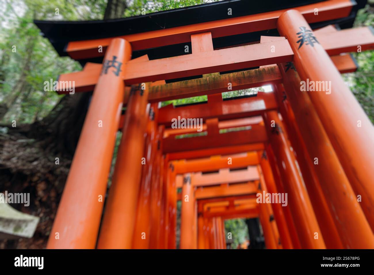 Fushimi Inari Taisha Shrine, Fushimi-ku, Kyoto Prefecture, Kansai ...