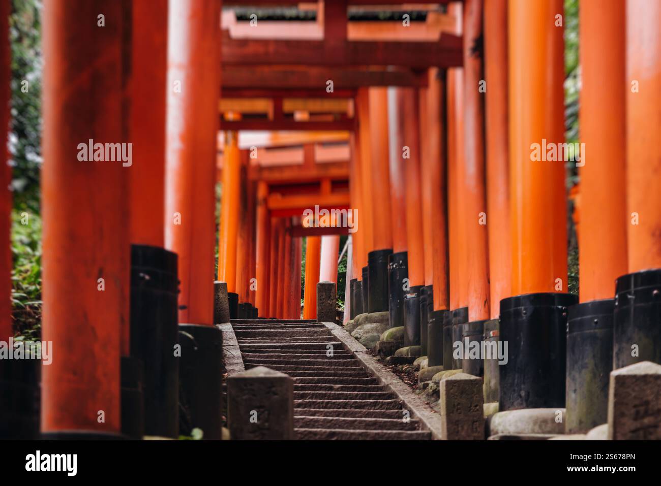 Fushimi Inari Taisha Shrine, Fushimi-ku, Kyoto Prefecture, Kansai ...