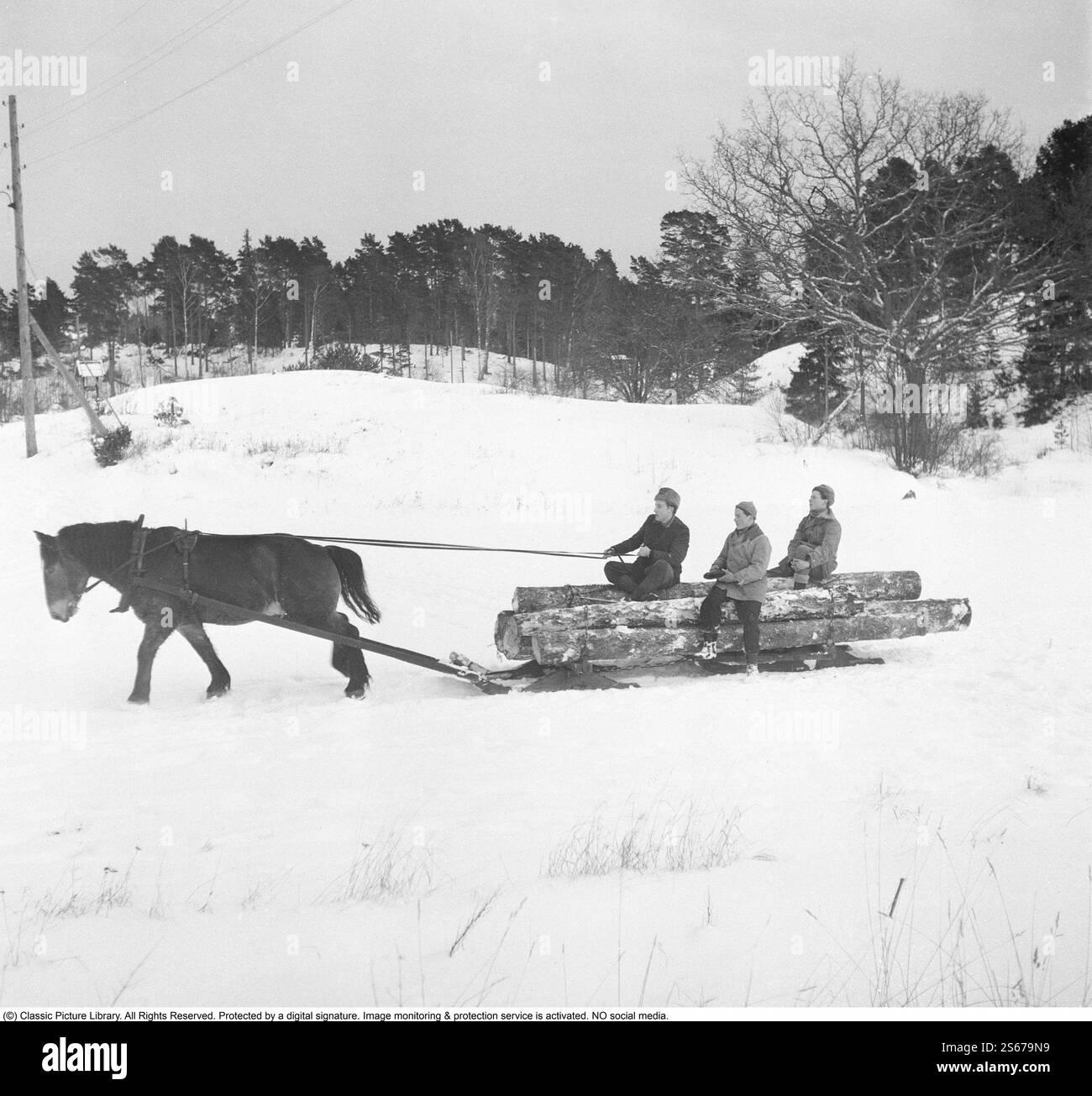 In the 1950s. Three men are sitting on a sleigh with trees with a horse ...