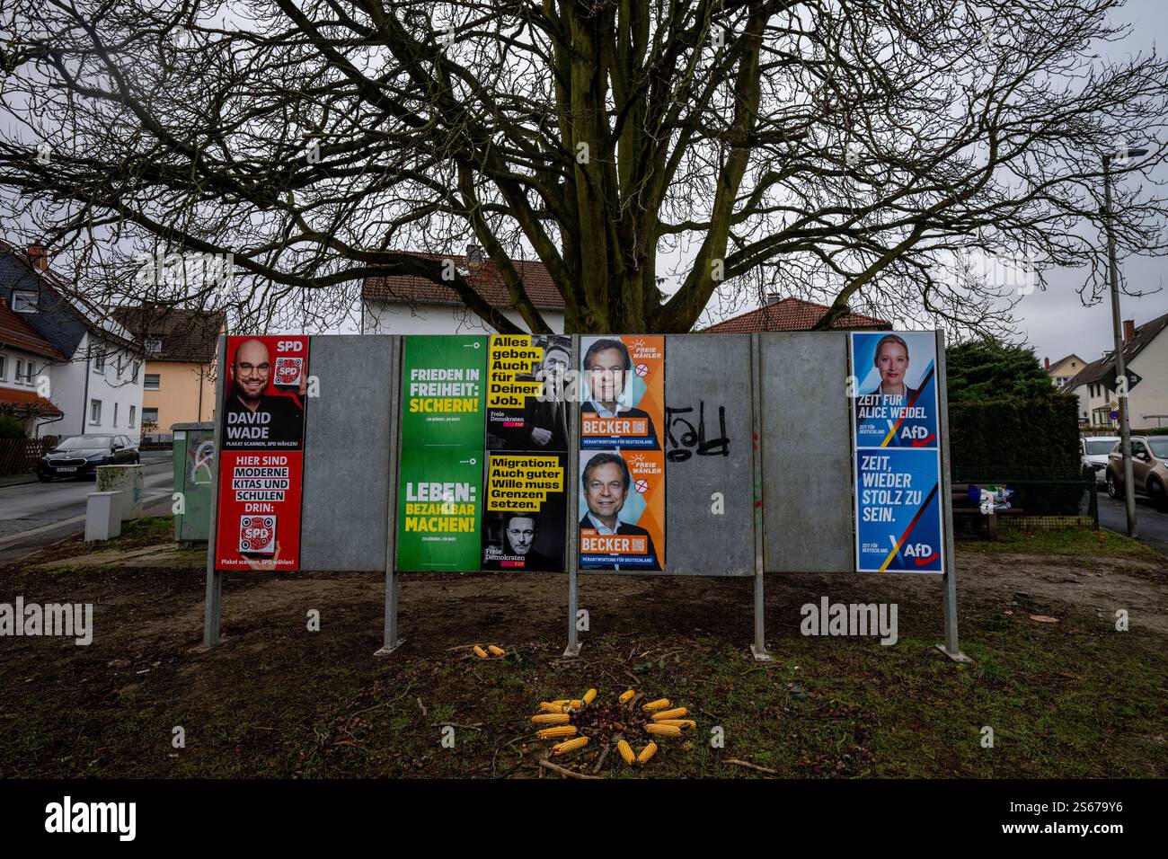 Election posters of German right wing party AfD top candidate Alice ...